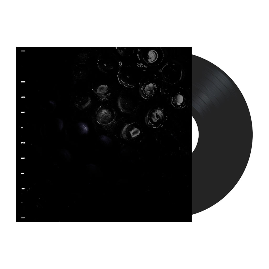 Music – CRUMBTHEBAND